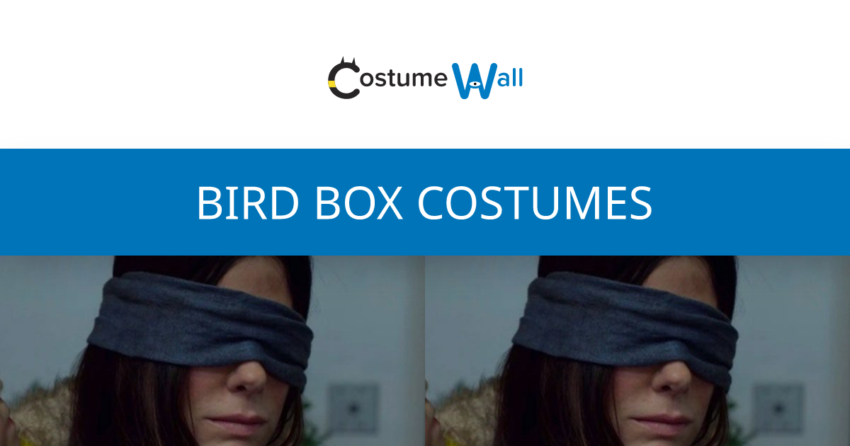 Bird Box Costume and DIY Cosplay Ideas | Costume Wall